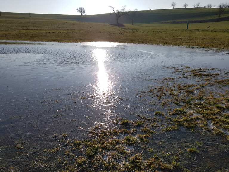 Eichener See - Cycle Routes and Map | Komoot