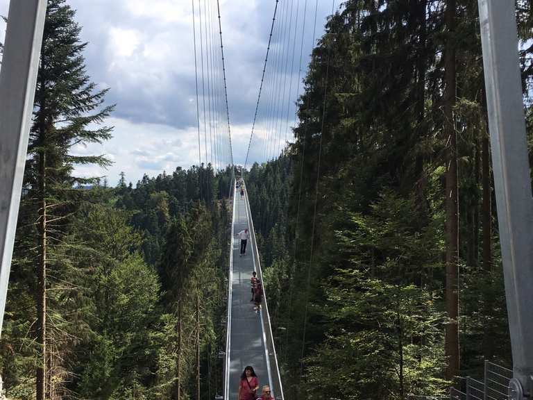 Hängebrücke Wildline - Bad Wildbad, Calw | Hiking Tips & Photos | Komoot