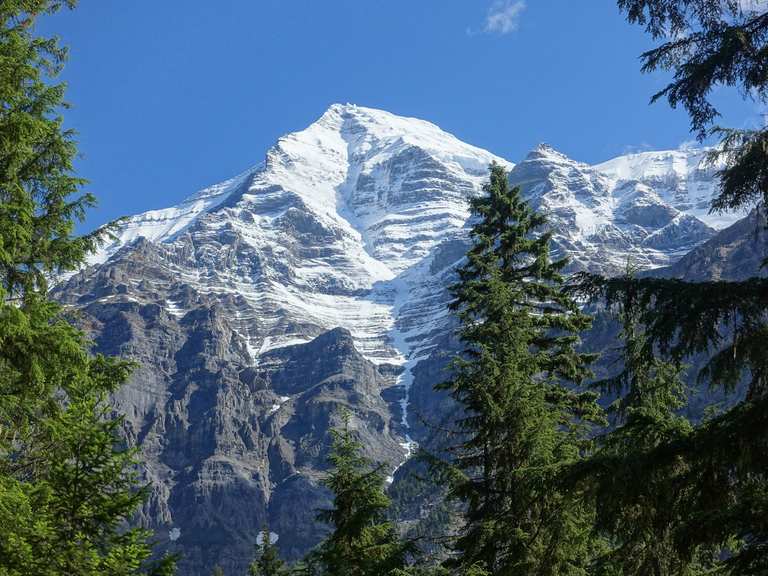 Mount Robson Routes for Walking and Hiking | Komoot