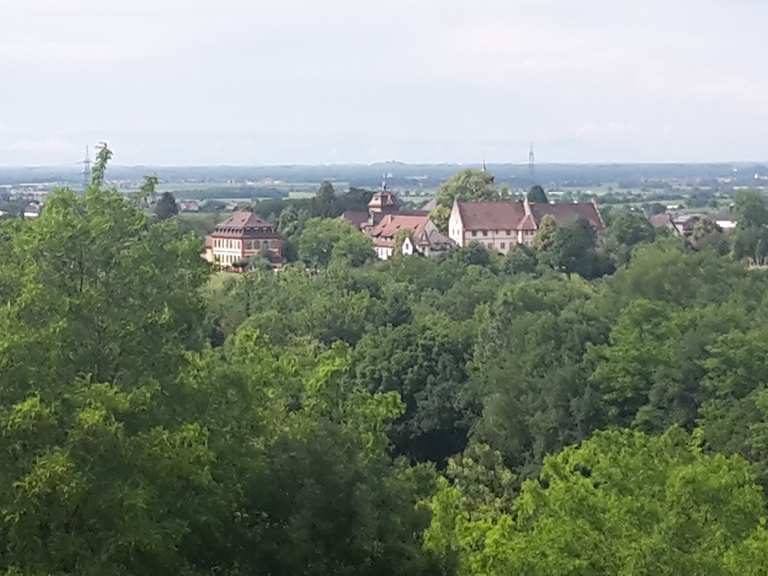 Wasserturm Heitersheim - Itinéraires de rando et marche | Komoot