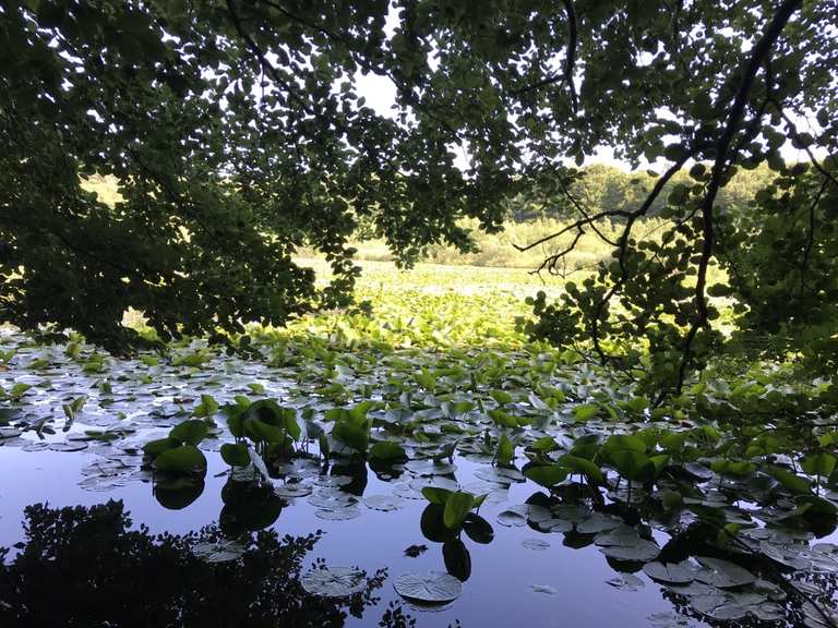 Roikier See Routes for Walking and Hiking | Komoot