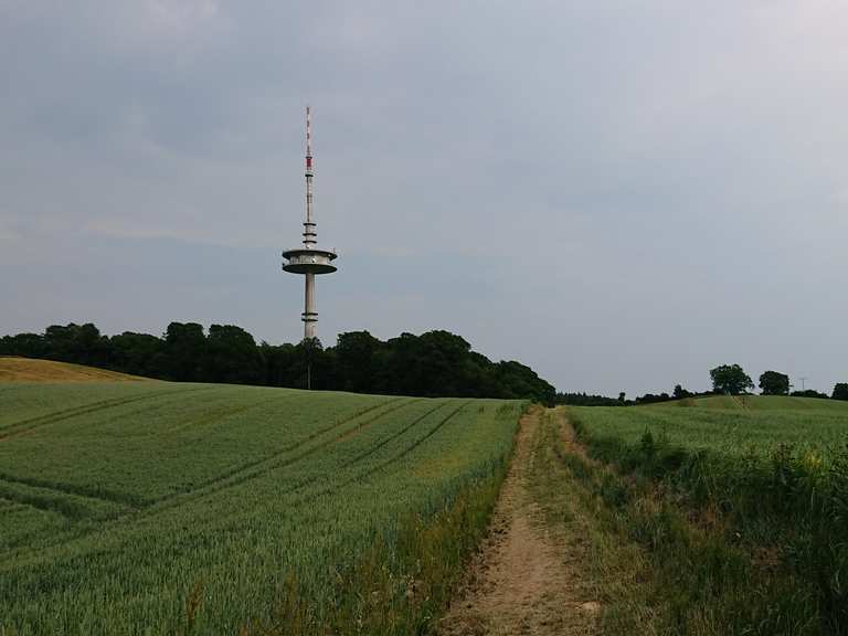 Bungsberg: Mountainbike-Touren und -Trails | komoot