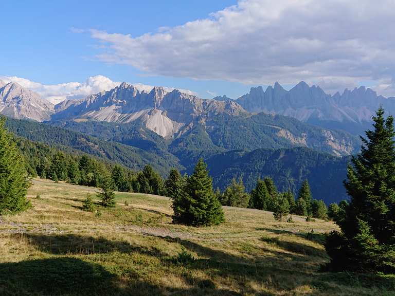 Family trail from Plose cable car to Rossalm with views of the Odle ...