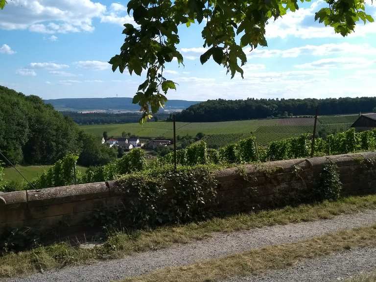 Schloss Neipperg - Mountain Bike Trails & Tracks | Komoot