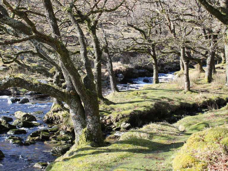 Piles Copse Routes for Walking and Hiking | Komoot