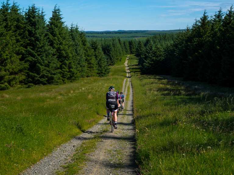 Kielder Forest Gravel Trail Cycle Routes and Map | Komoot
