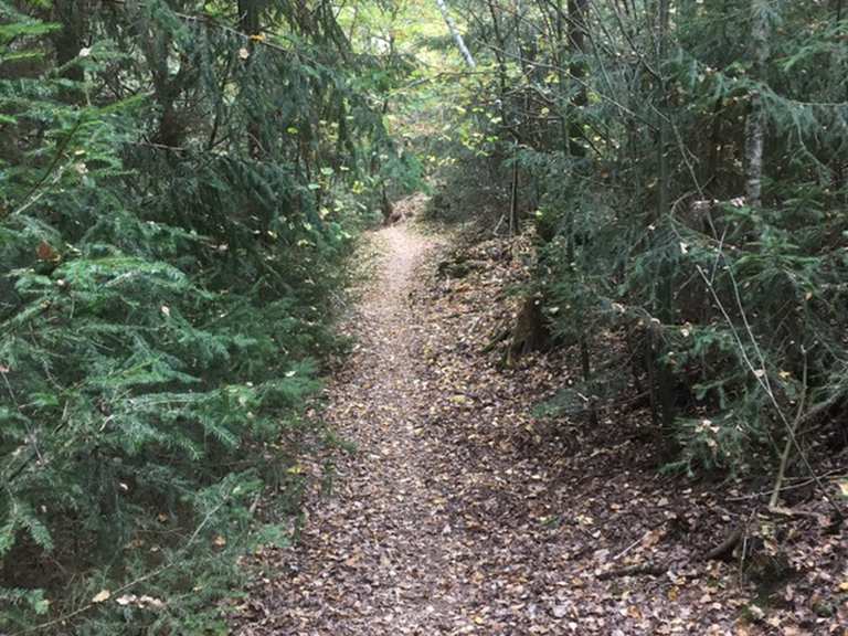 Schmaler Weg und schöne Aussichten - wandelroutes en hikes | Komoot