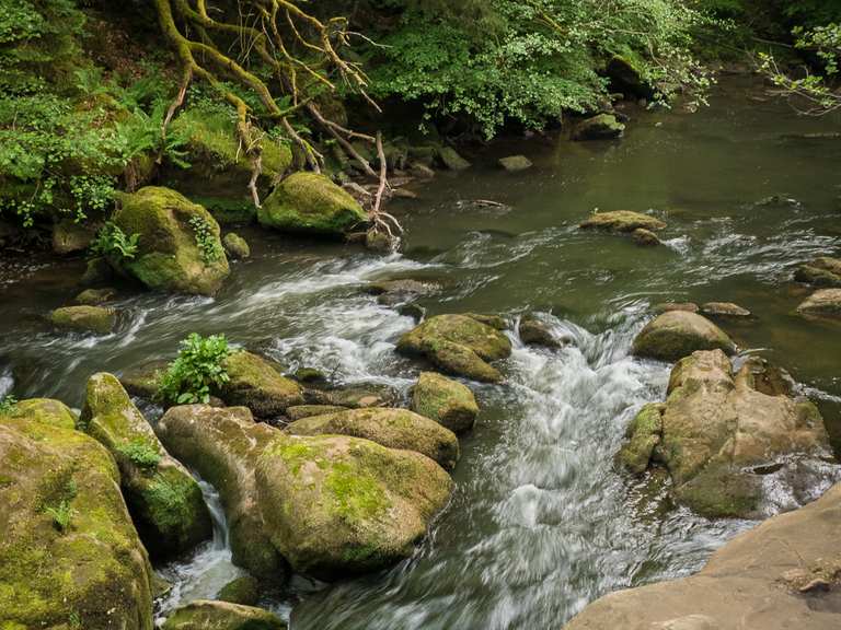 Irreler Wasserfälle: Wanderungen und Rundwege | komoot