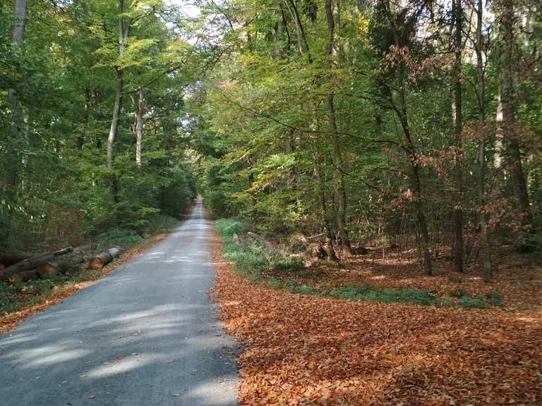 Herzbergturm – Berggasthof Herzberg Runde von Gonzenheim | Fahrradtour ...