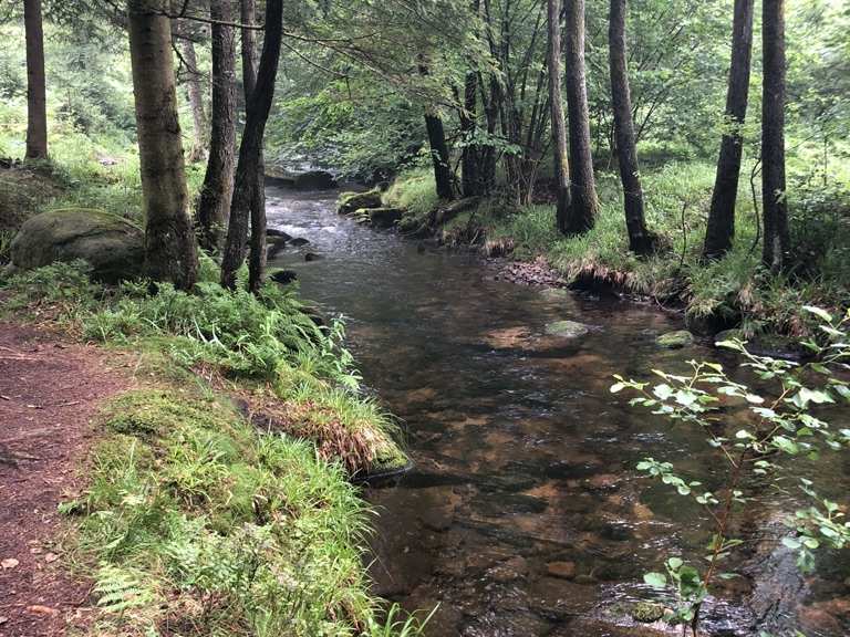 Eyach Wasserwegle: Wanderungen und Rundwege | komoot