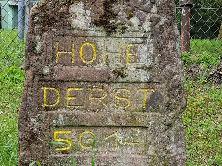 Hohe Derst, 561 m (mit Ritterstein Nr. 301): Wanderungen und Rundwege ...