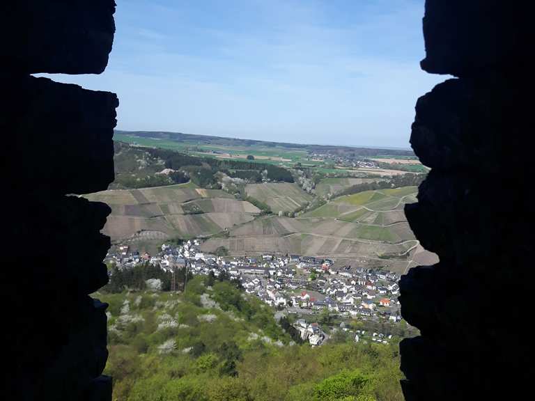 Krausbergturm: Wanderungen und Rundwege | komoot