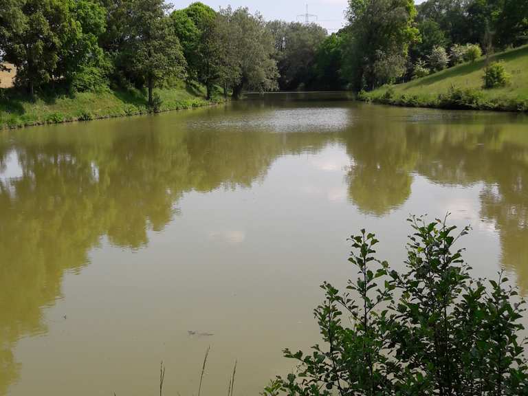 Ochsensee : Radtouren und Radwege | komoot