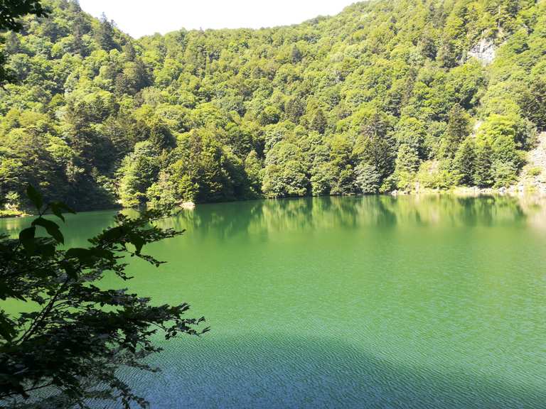 Lac des Perches: Wanderungen und Rundwege | komoot