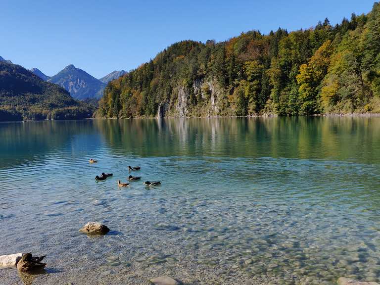 Alpsee: Wanderungen und Rundwege | komoot