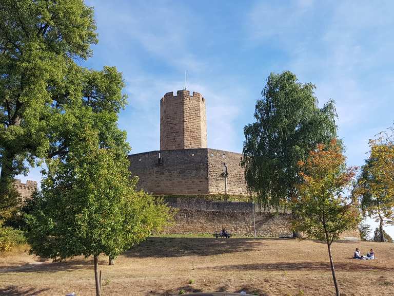 Burg Steinsberg: Mountainbike-Touren und -Trails | komoot