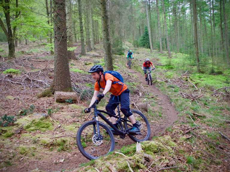 Selworthy, Horner Wood & Dunkery Beacon loop from Minehead — Exmoor ...