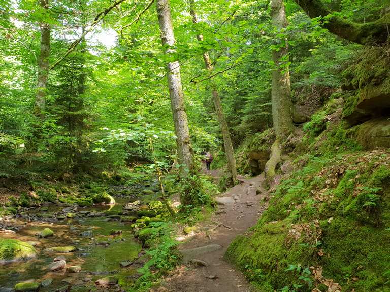 Monbachtal-Schlucht: Wanderungen und Rundwege | komoot