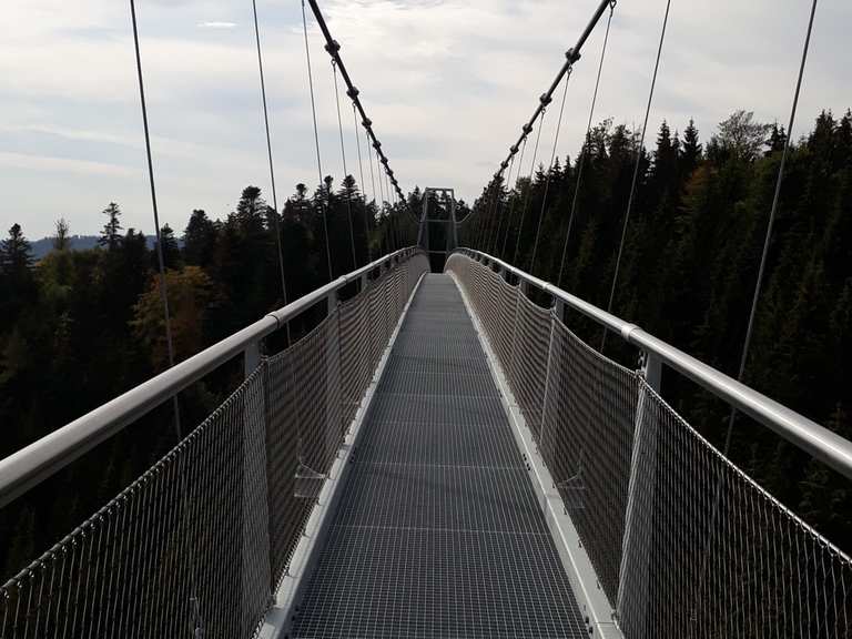 Hängebrücke Wildline - Bad Wildbad, Calw | Hiking Tips & Photos | Komoot