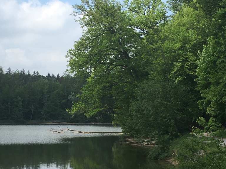 Katzenbachsee: Wanderungen und Rundwege | komoot