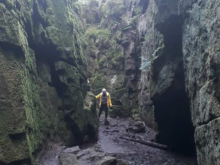Lud's Church Routes for Walking and Hiking | Komoot