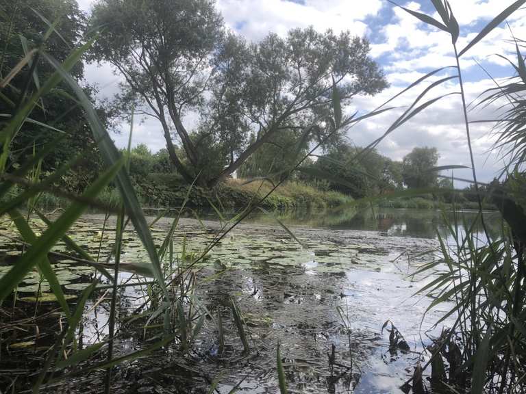 Ochsensee in Schlangen - Mountain Bike Trails & Tracks | Komoot