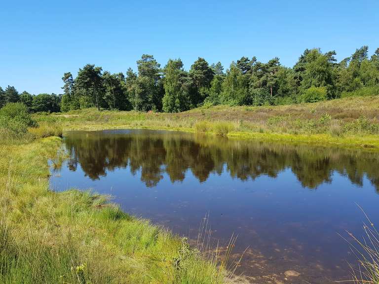Reindersmeer: Wanderungen und Rundwege | komoot