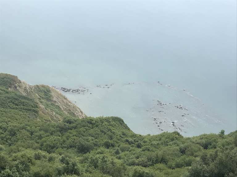 Golden Cap Routes for Walking and Hiking | Komoot