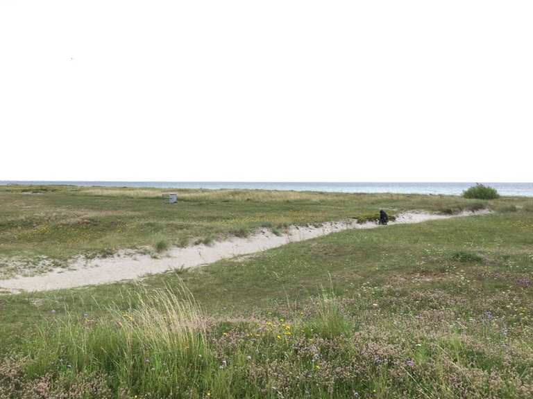 Greve Strand : percorsi ciclabili | Komoot