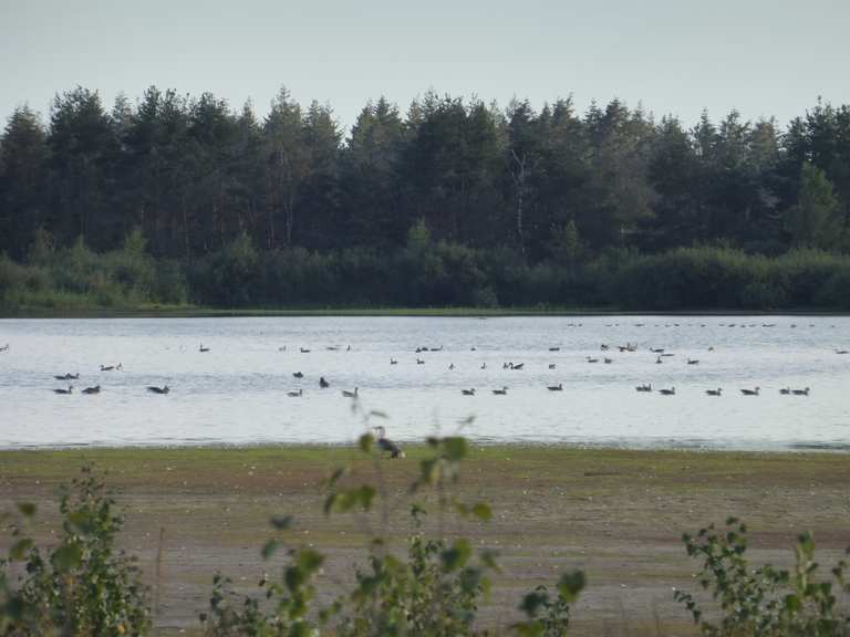 Strabrechtse Heide & Beuven fietsroutes en kaart | Komoot