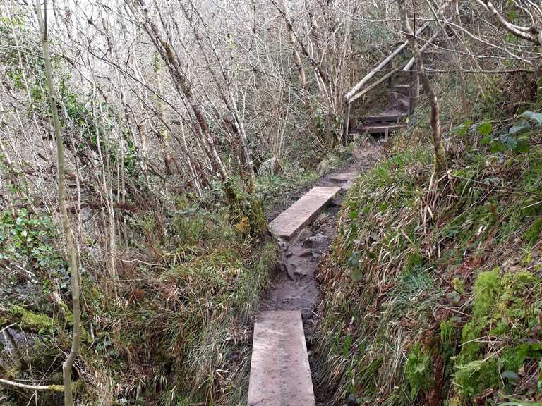 Views across Slieve Bloom Mountain Range Routes for Walking and Hiking ...