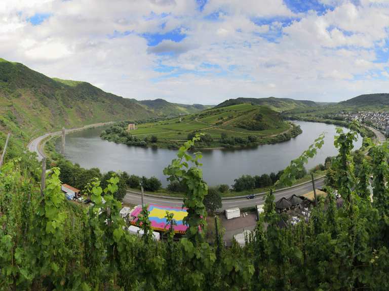 Bremmer Calmont - steilstes Weinanbaugebiet Europas - Cycle Routes and ...
