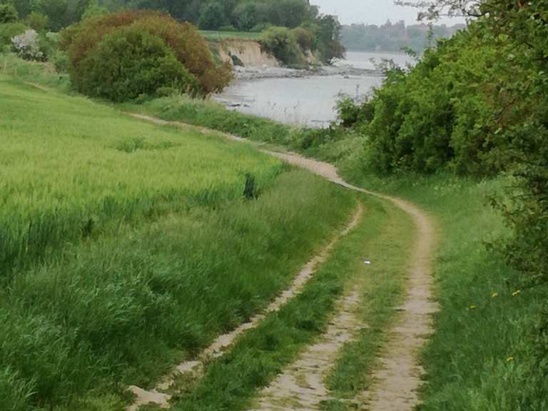Acantilado Sierksdorf–Neustadt: Rutas de senderismo y caminatas | Komoot