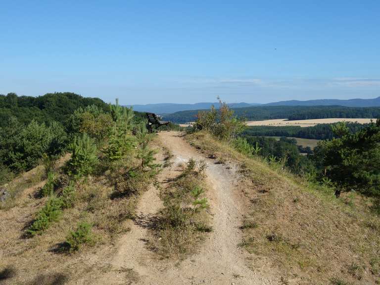 Aussicht von den Hörninger Sattelköpfen: Wanderungen und Rundwege | komoot