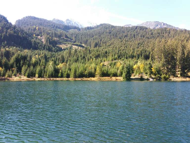 Frauensee: Wanderungen und Rundwege | komoot