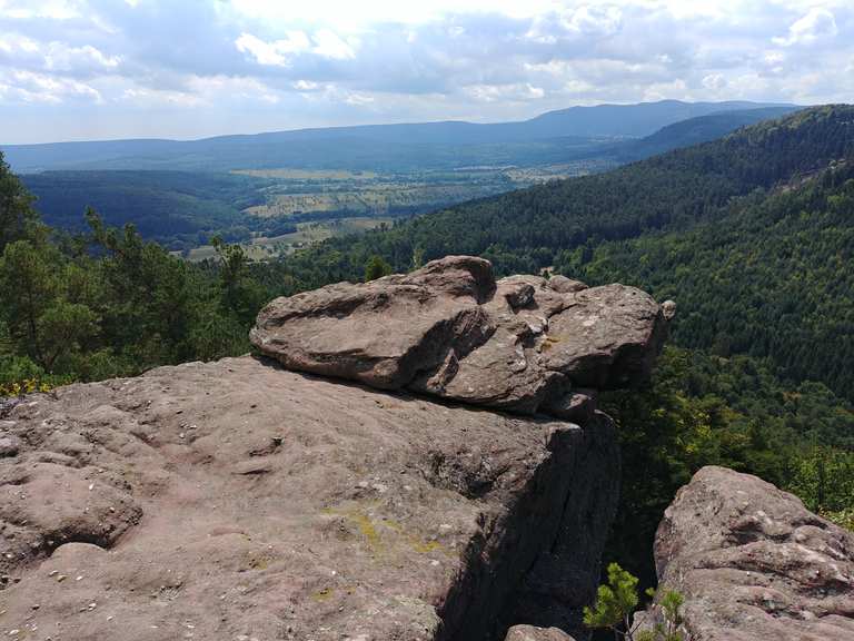 Rocher de Brotsch - Itinéraires de rando et marche | Komoot