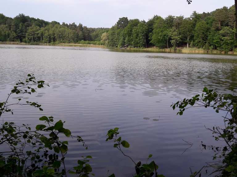 Bogensee: Wanderungen und Rundwege | komoot