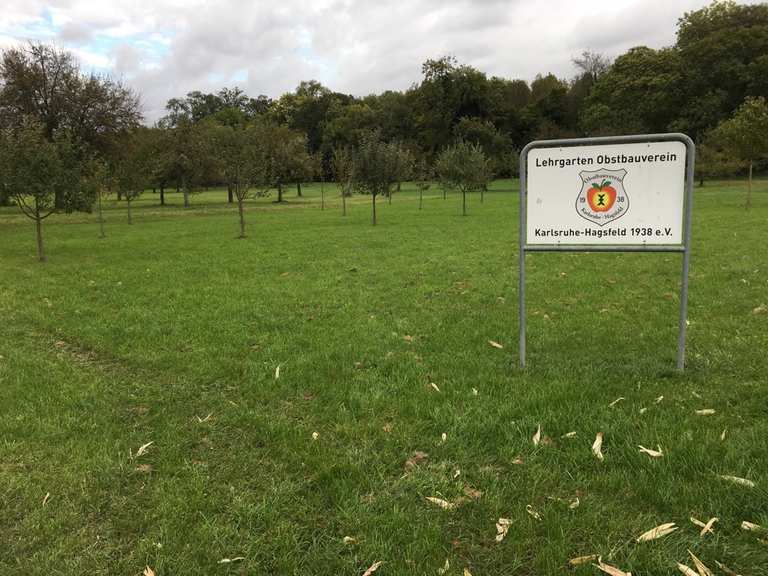 Verger pédagogique de l’association d’arboriculture Karlsruhe-Hagsfeld ...