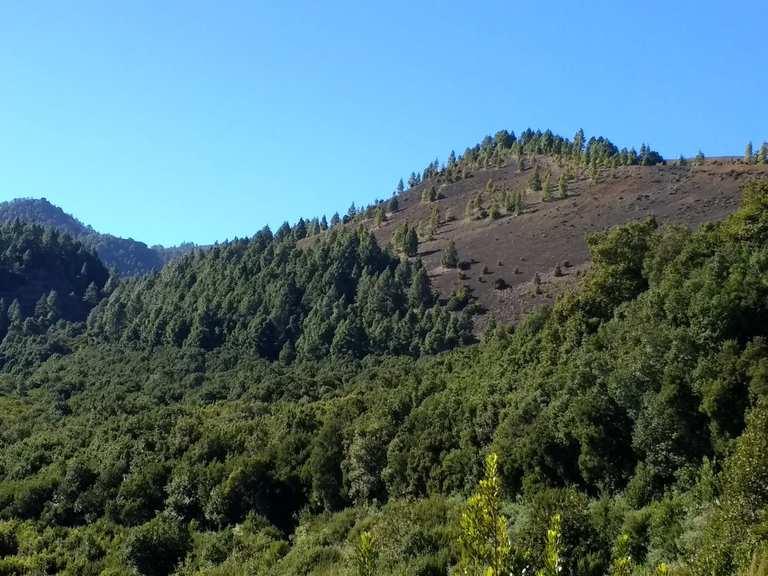 Fayal-Brezal - Routes for Walking and Hiking | Komoot