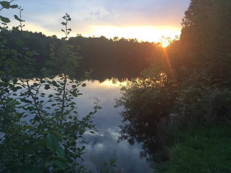 Stausee Losheim: Wanderungen und Rundwege | komoot