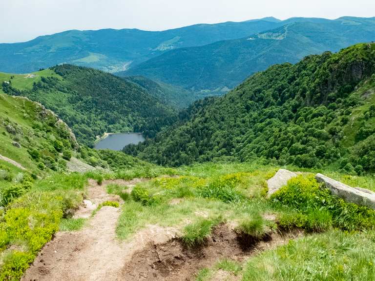 Hohneck - Itinéraires de rando et marche | Komoot