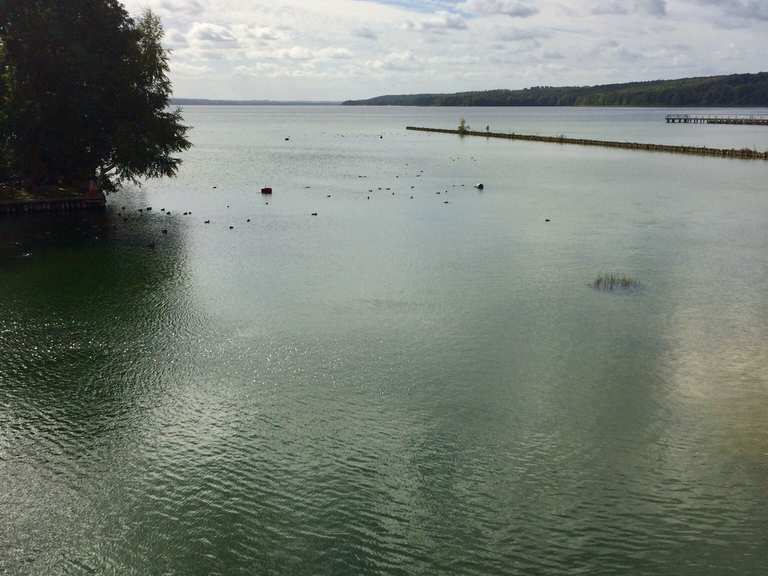 Tollensesee - Cycle Routes and Map | Komoot