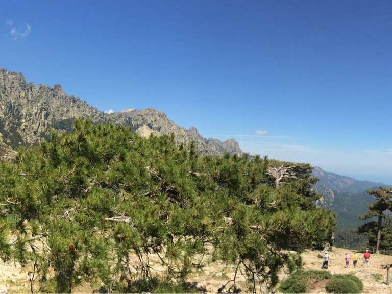 Col de Bavella Routes for Walking and Hiking | Komoot