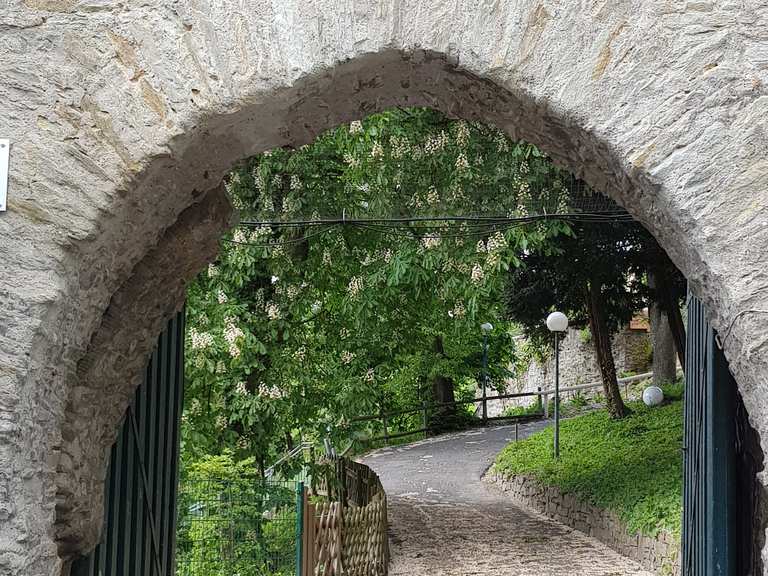 Burg Sonnenberg Routes for Walking and Hiking | Komoot