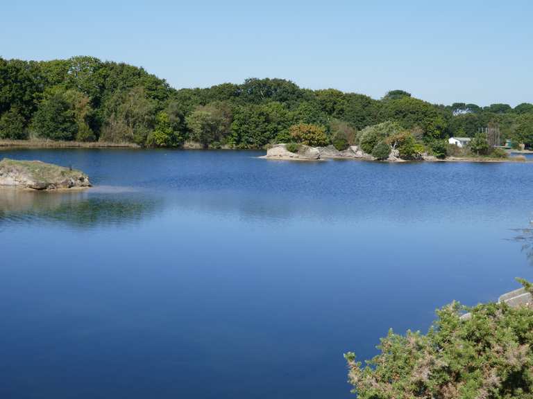 Eight Acre Pond - Hampshire, England | Hiking Segment | Komoot