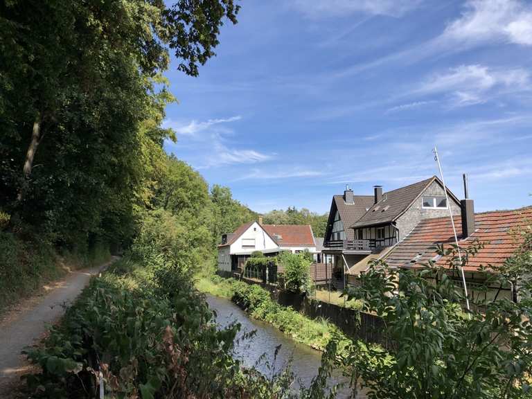 Odenthal Routes for Walking and Hiking | Komoot