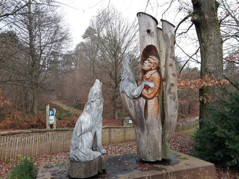 Merzig Wolfspark Routes for Walking and Hiking | Komoot