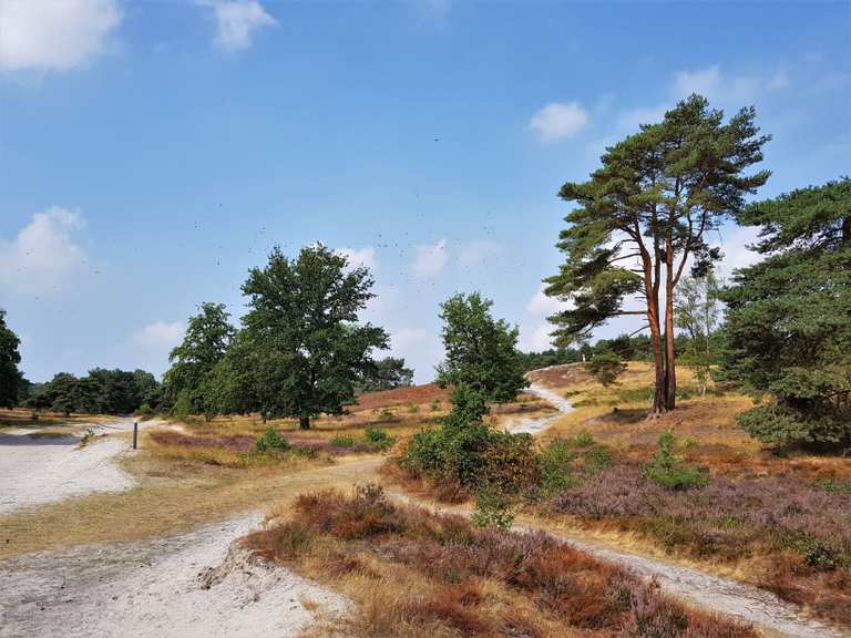 Brunssummerheide wandelroutes en hikes | Komoot