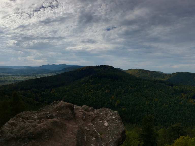 Rocher de Brotsch - Itinéraires de rando et marche | Komoot