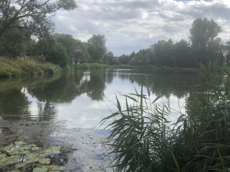 Ochsensee in Schlangen - Mountain Bike Trails & Tracks | Komoot